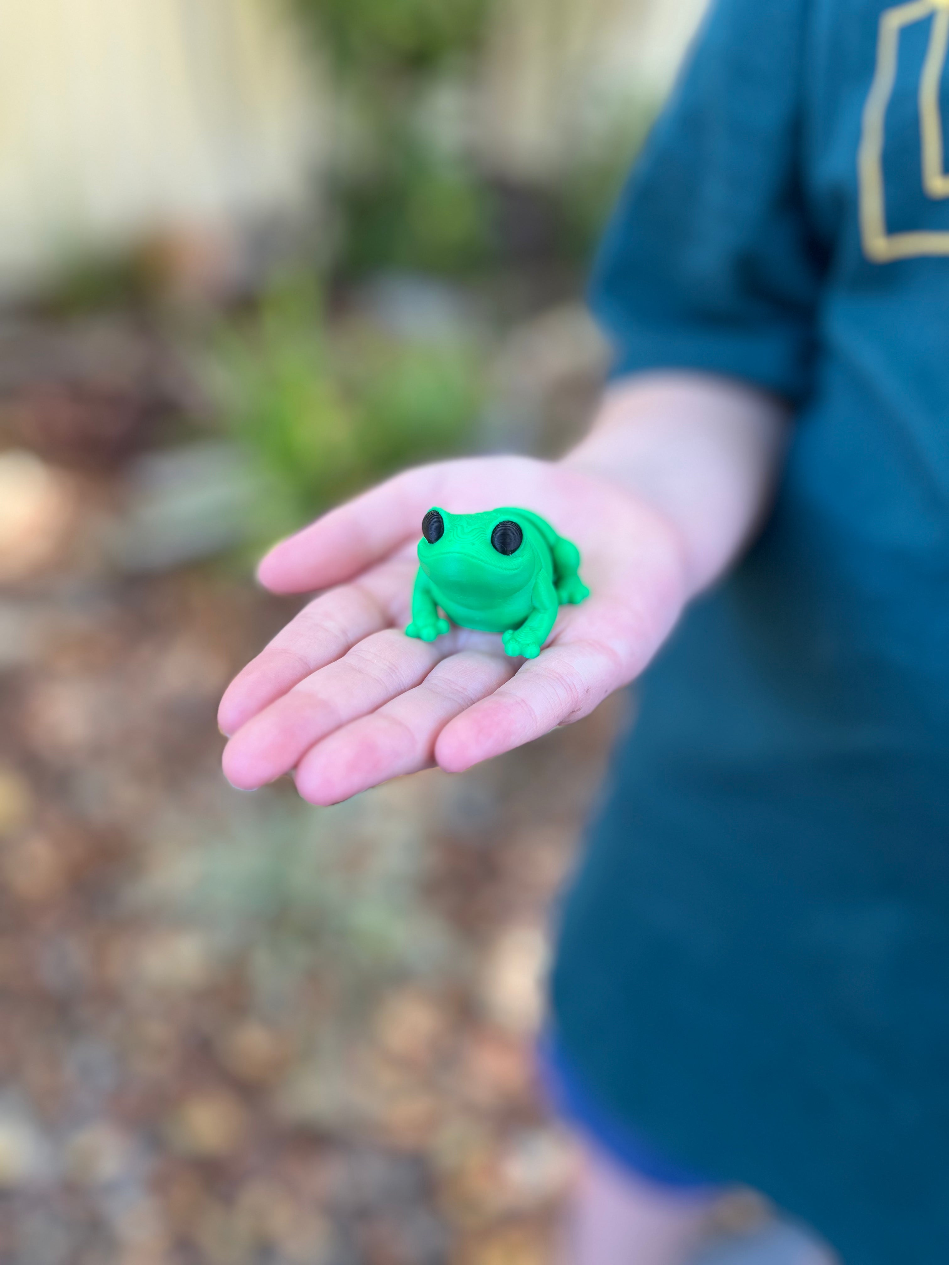 Frog Pocket Pal – Cotto 3D Creations