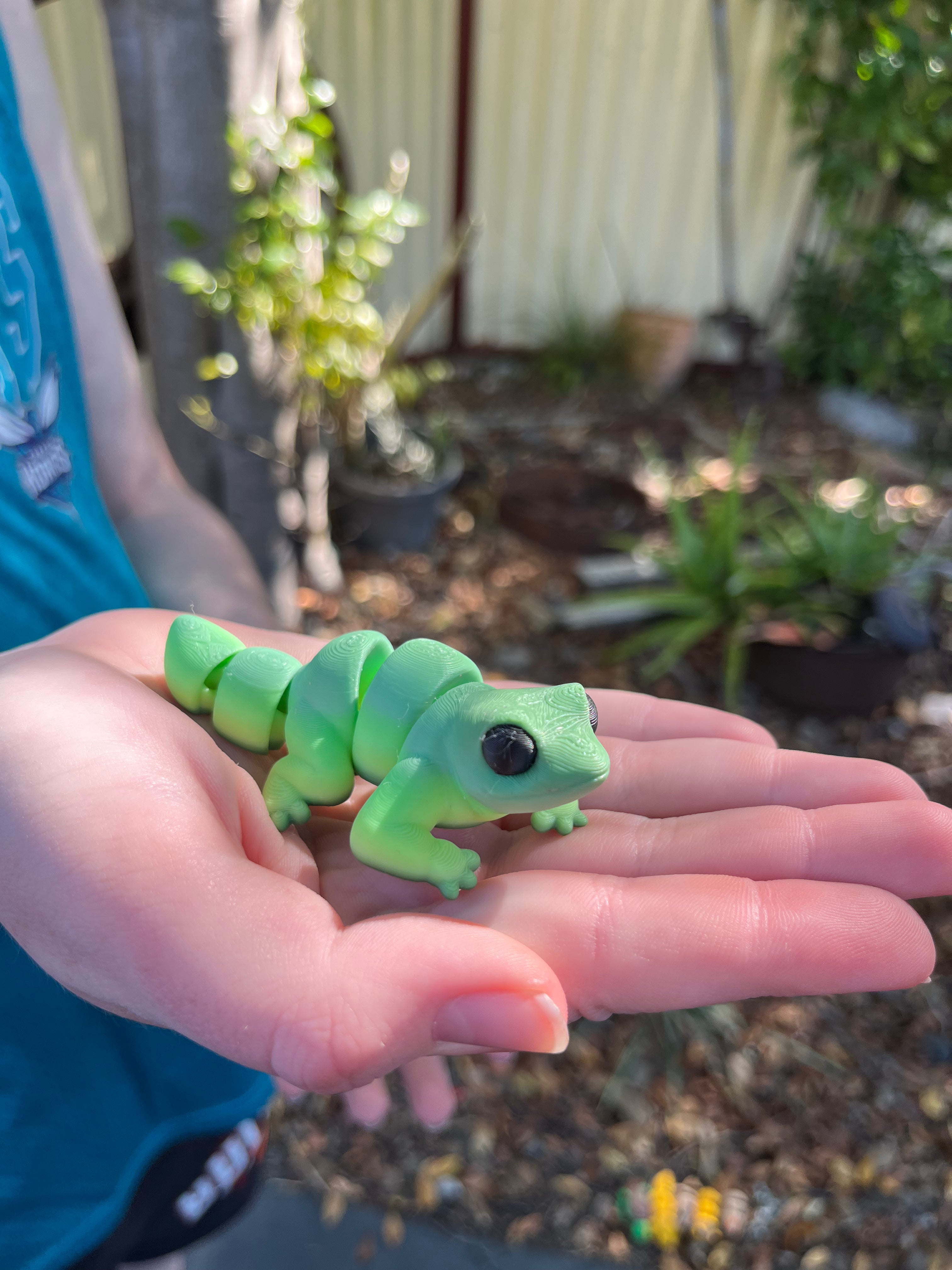 Lizard Pocket Pal – Cotto 3D Creations