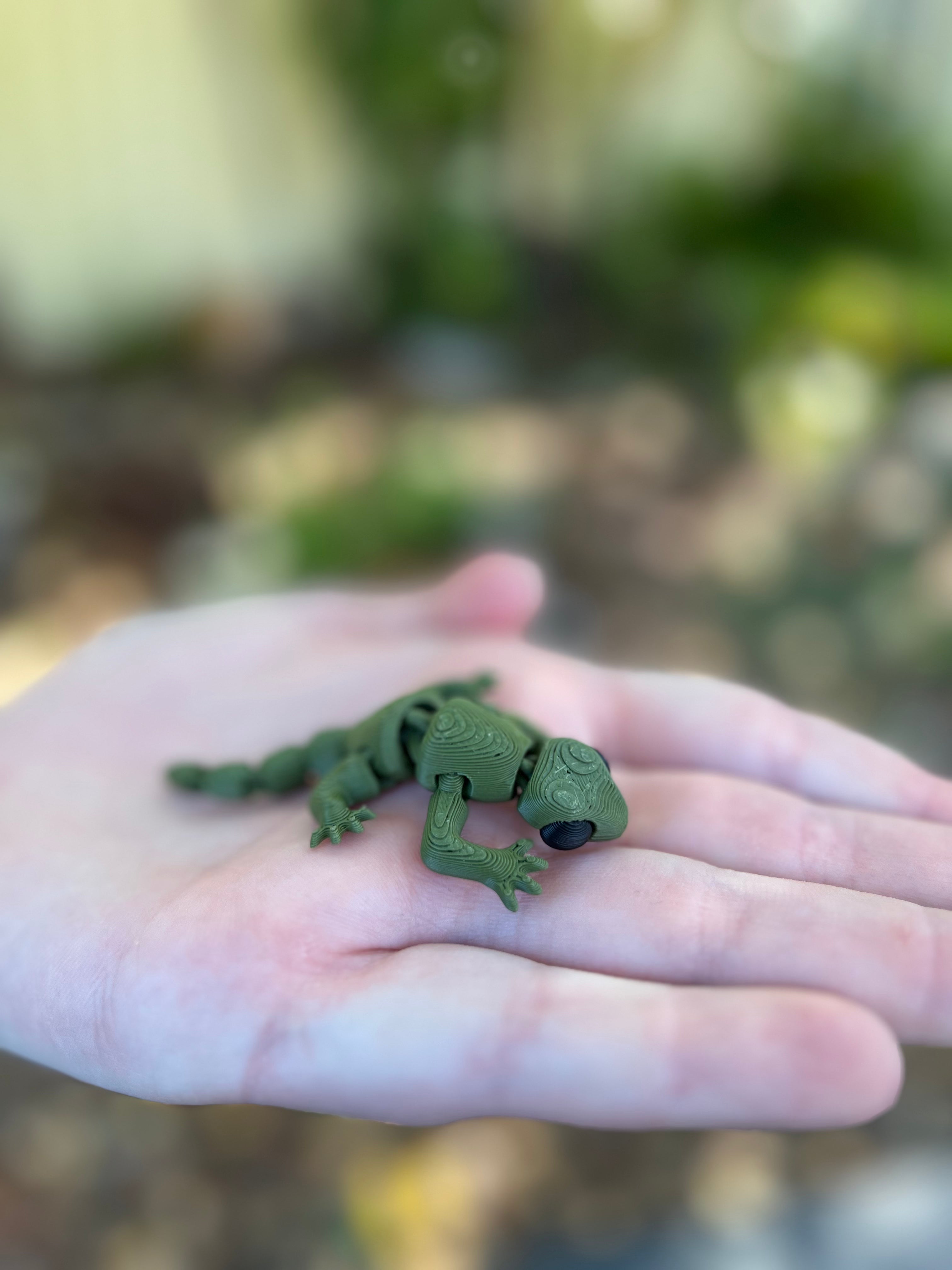Gecko Mini – Cotto 3D Creations