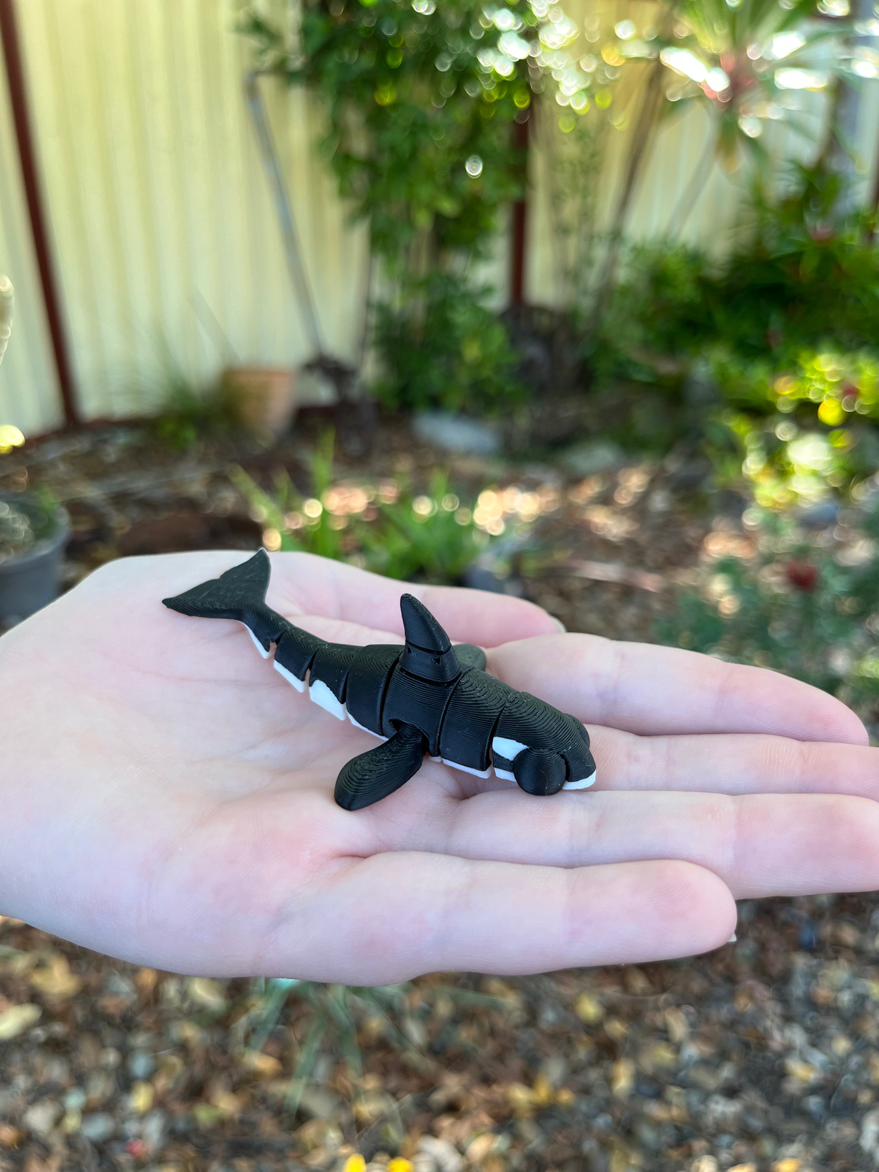 Orca Mini – Cotto 3D Creations